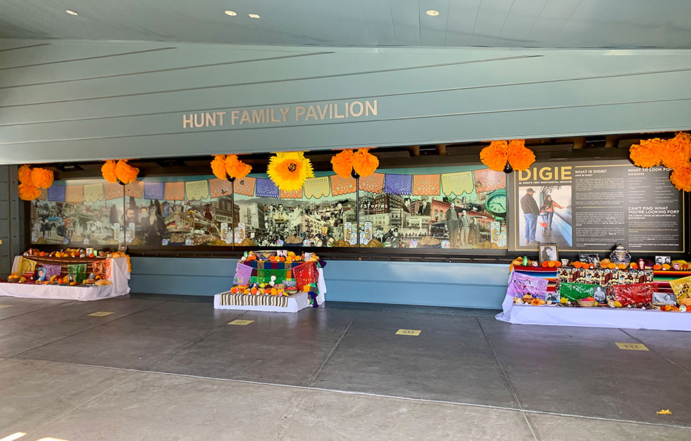 DIGIE Touch Wall - Gibson International