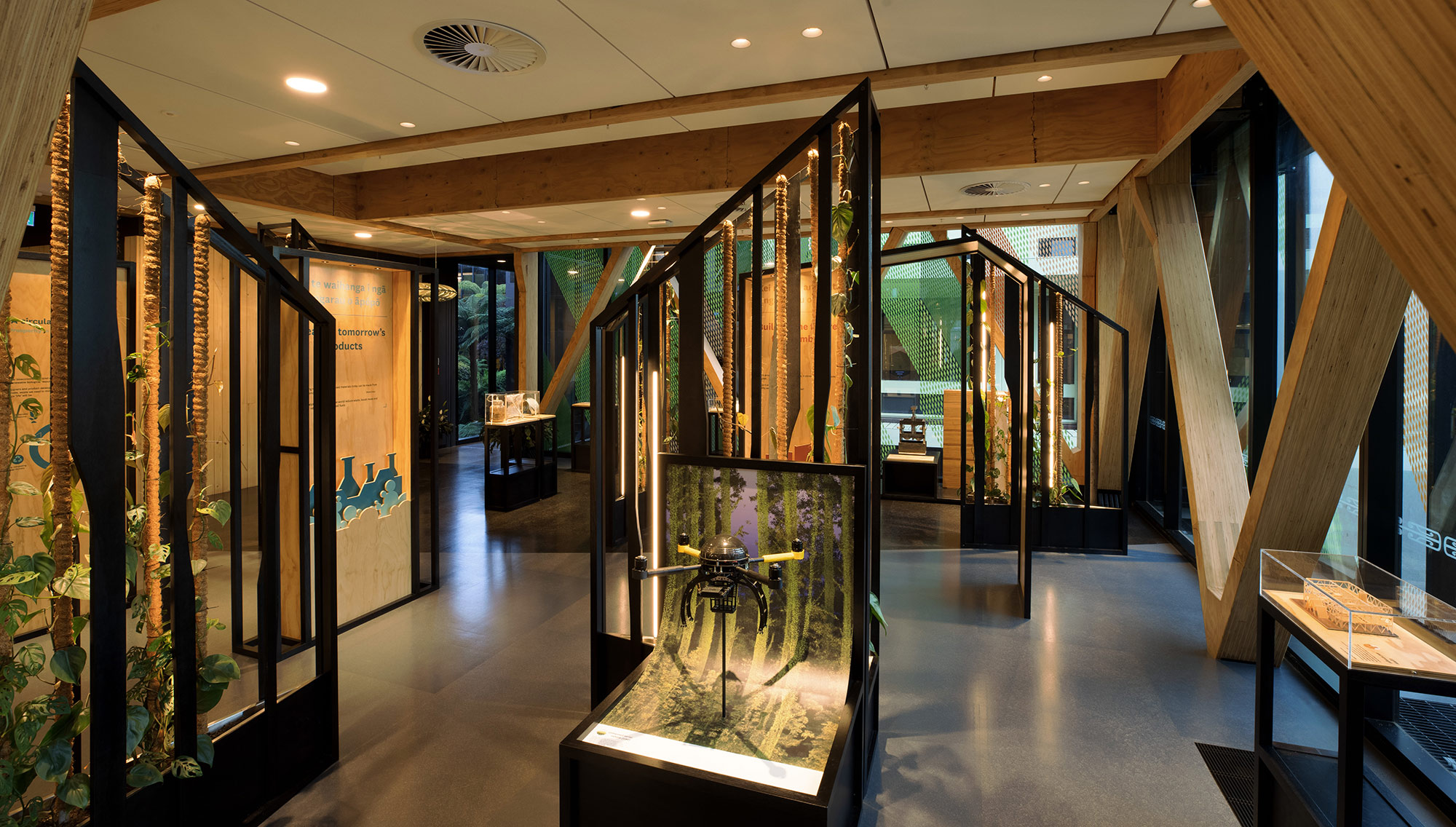 Scion Innovation Hub - Gibson International