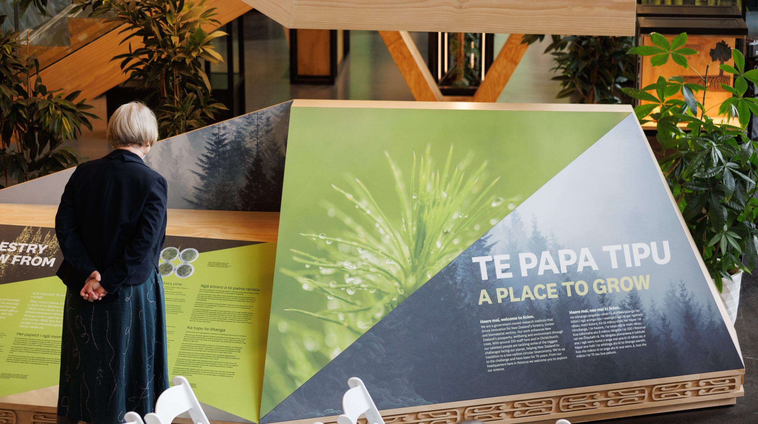 Tangata Whenua, Te Papa Tipu - Gibson International